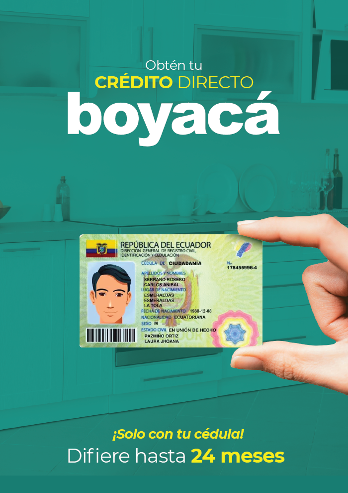 20 Nieve y Escarcha Decorativa 20